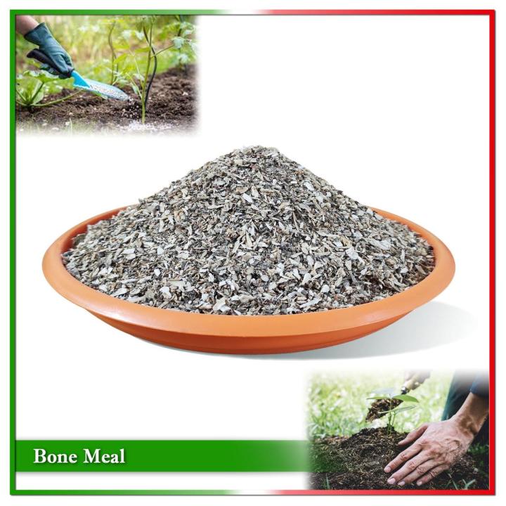 Bone Meal (Premium Quality) - 1 kg | Daraz.com.bd