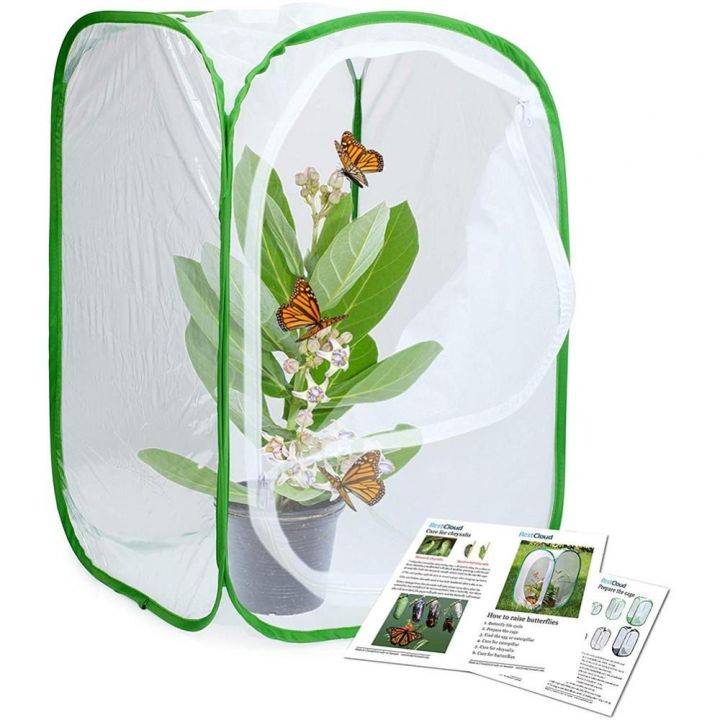 Portable Foldable Net Cloth Breeding Incubator Box For Mantis Stick ...