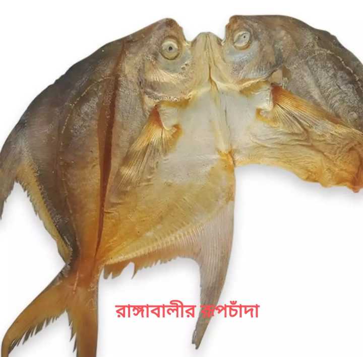 Dry Fish Rupchanda Shutki 100gmeat Seafood Dried Fish | Daraz.com.bd
