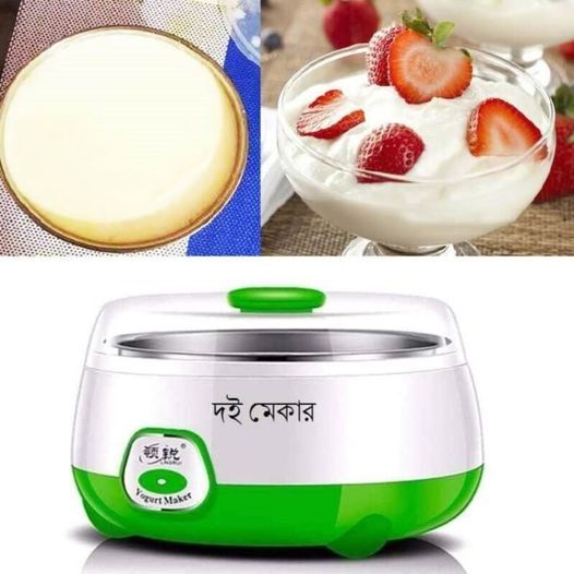 Automatic Doi Maker - Electric Yogurt Maker | Daraz.com.bd