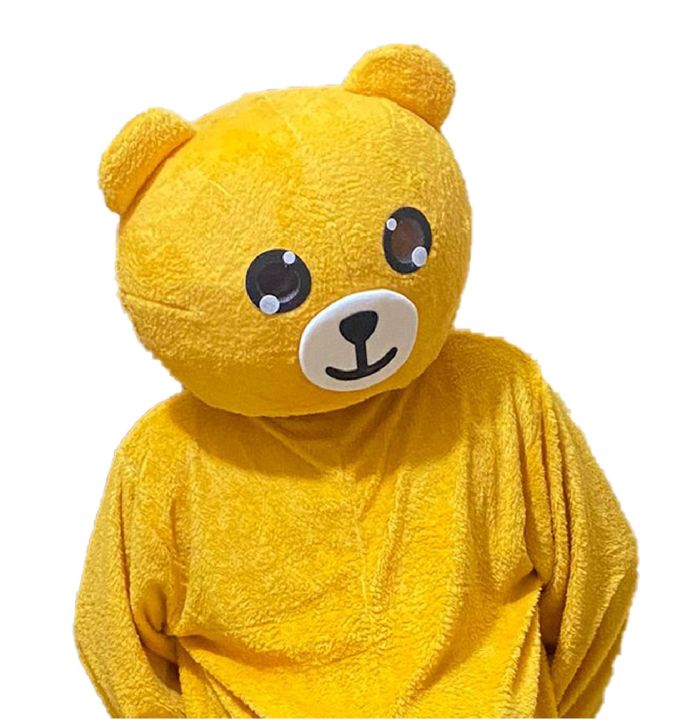 Teddy bear dress full set Costume Teddy Bear Funny Bear Cartoon Costume ...