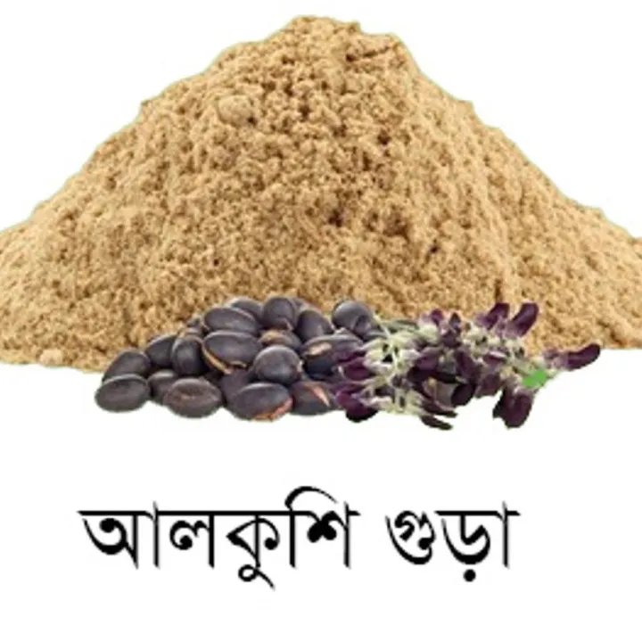 Black Kaunch Beej Powder, Konch Seed, Alkushi (500 Grams), Kala Koch ...