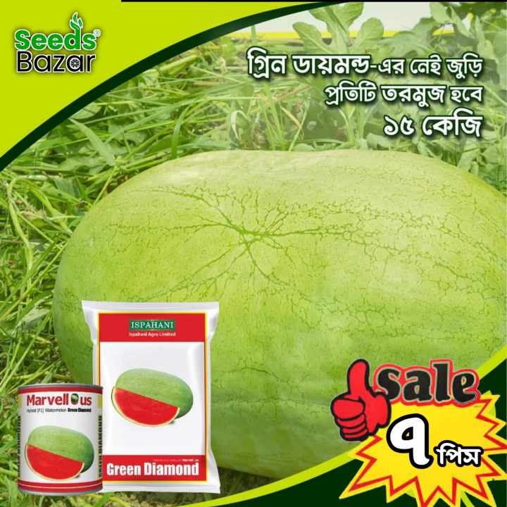 Very Testy And Juicy Green Diamond Watermelon Seeds 7 Pices (Hybrid ...