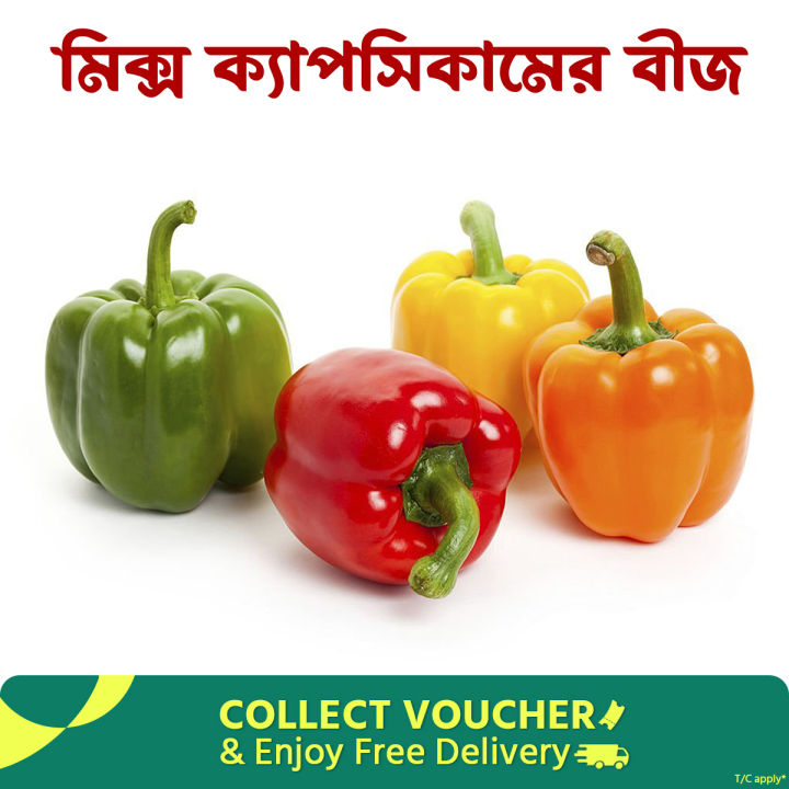 Multicolor Capsicum seeds 25 pice + gift | Daraz.com.bd