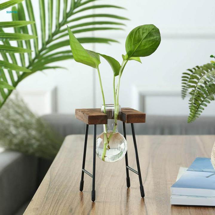 Flower Vase Glass Vase Wooden Frame Transparent Vase Display Flowers ...