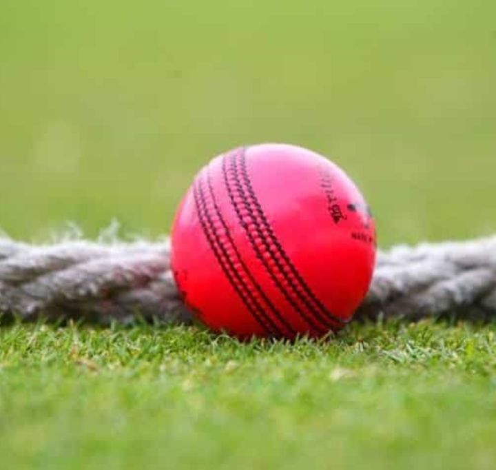 CA 4 Part Hand Stitched Pink Test Ball - Unsurpassed Quality | Daraz.com.bd
