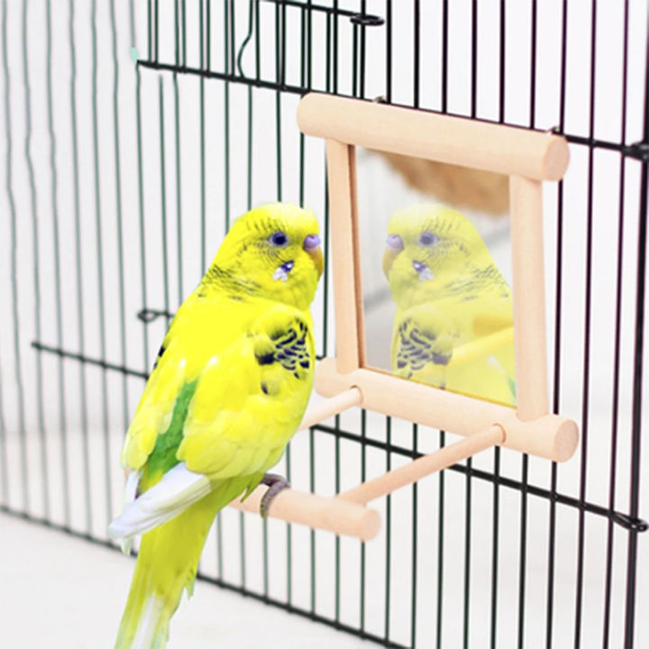 Bird Mirror With Perch Bird Perch Mirror Toy Stand Bird Toy Cockatiels ...