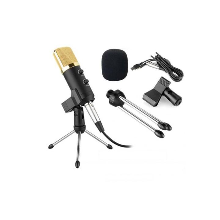 BM-100FX Condenser Microphone | Daraz.com.bd