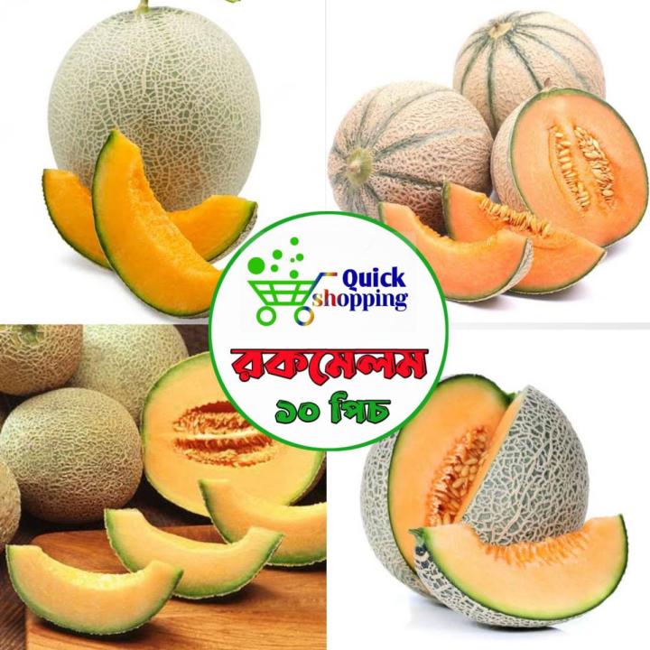 All Season Rockmelon Seeds 10 Pis + Gift | Daraz.com.bd