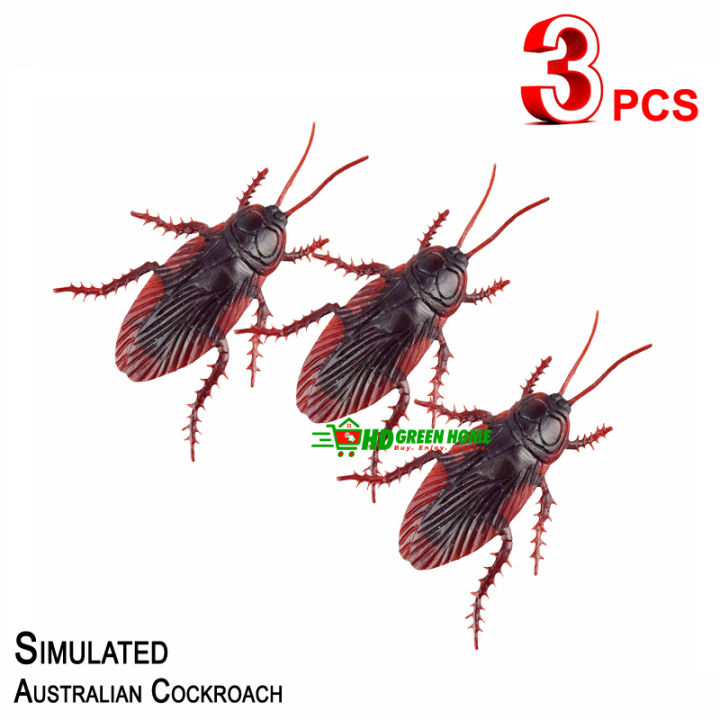 3 pcs x Australian Simulation Plastic Cockroach Toy Realistic Prank ...