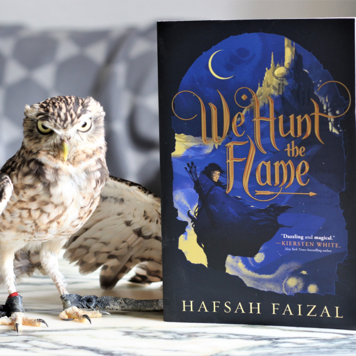 We Hunt the Flame by Hafsah Faizal | Daraz.com.bd