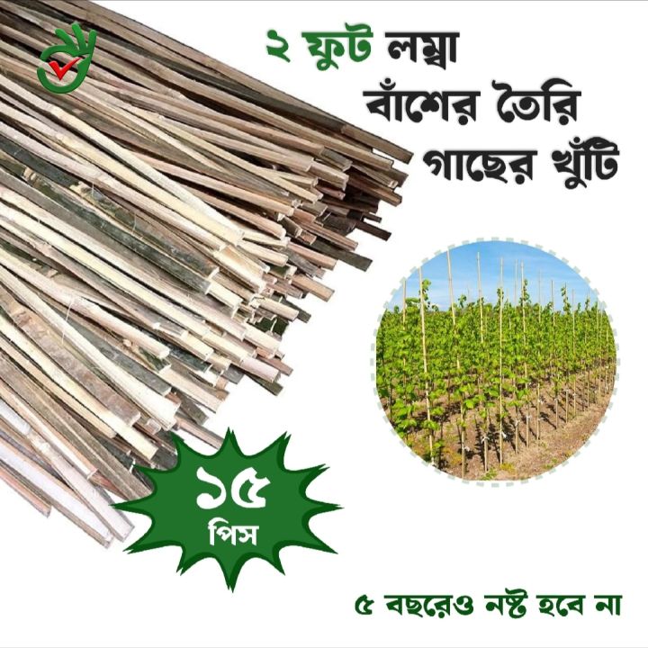 15 pieces of 2 feet long bamboo tree poles | Daraz.com.bd