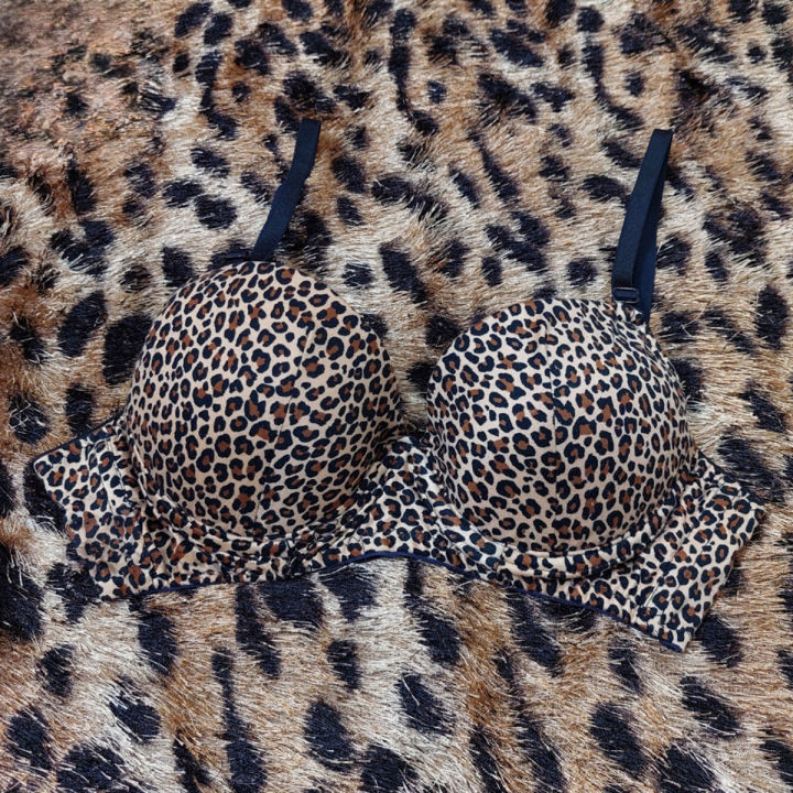 Indispensable -Soft Comfortable Solid Tiger Print Colour Pushup Foam ...