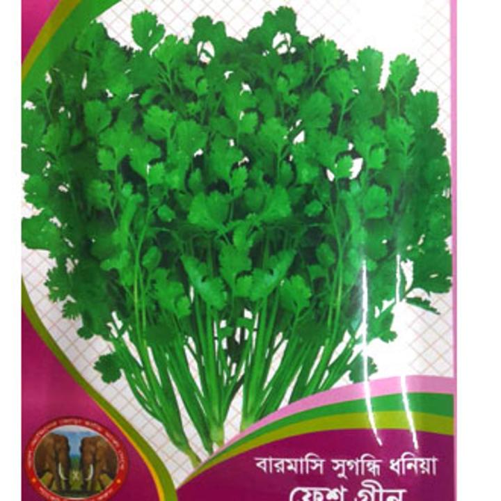 Dhoniya Pata Seed 10 gm Coriander leaf seeds 10 gm+- (Repack) | Daraz ...