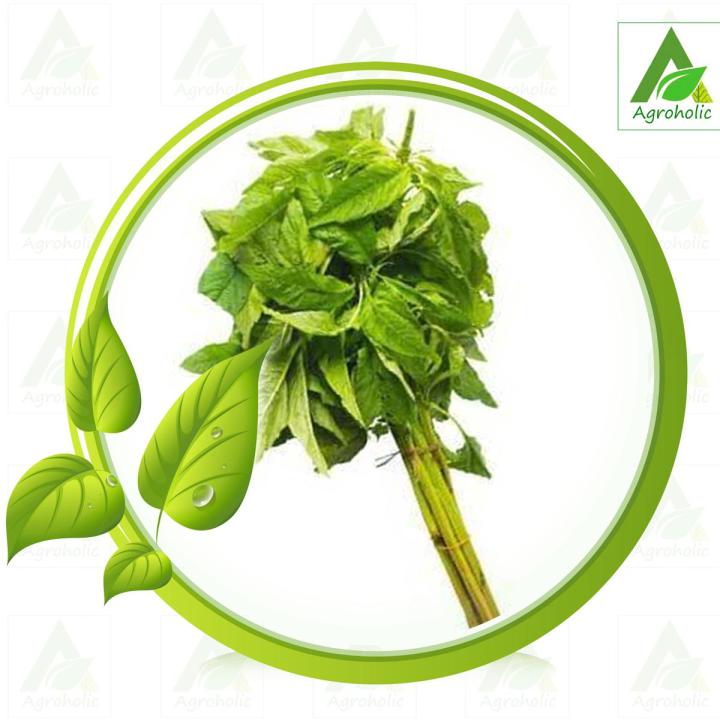 Green Data Shak -15 gm | Daraz.com.bd