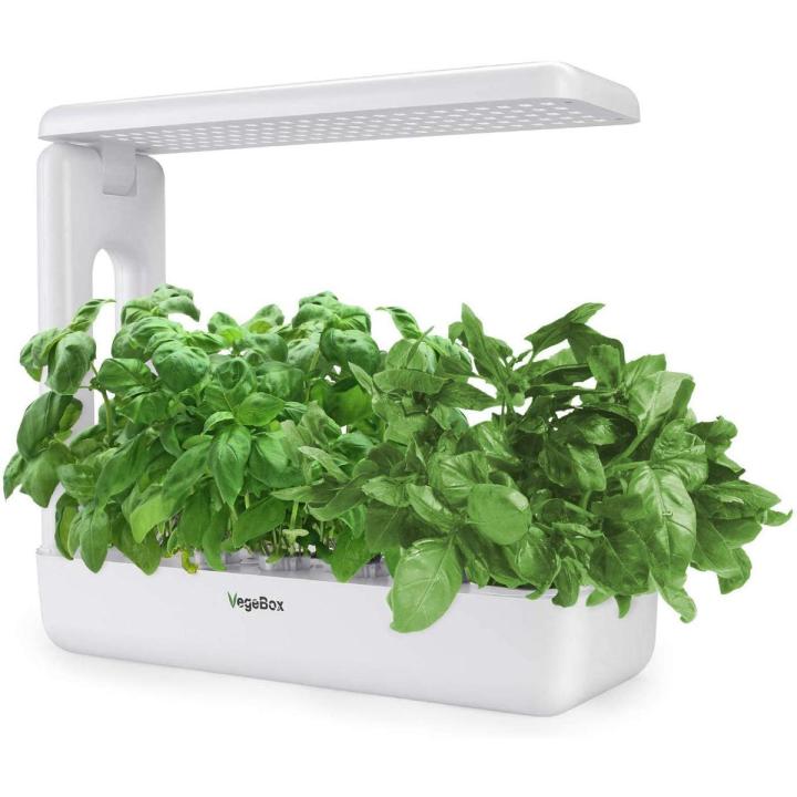 Bigin Indoor 10 Pcs Herb Hydroponics Plants Seeds Garden- 10Pcs seeds ...
