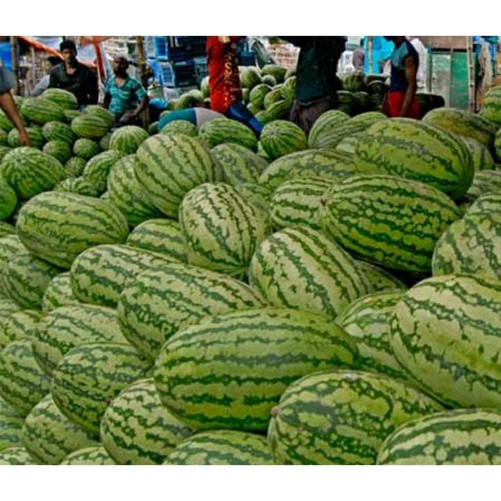 10 pieceS of Chinese hybrid watermelon seedS | Daraz.com.bd