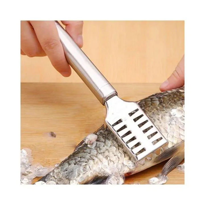 Stainless Steel Fish Scale Cleaner - Silver | Daraz.com.bd