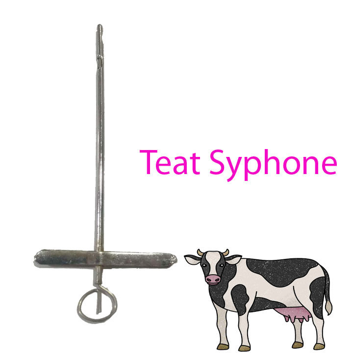 Teat siphon for veterinary use (Milk Siphon) | Daraz.com.bd