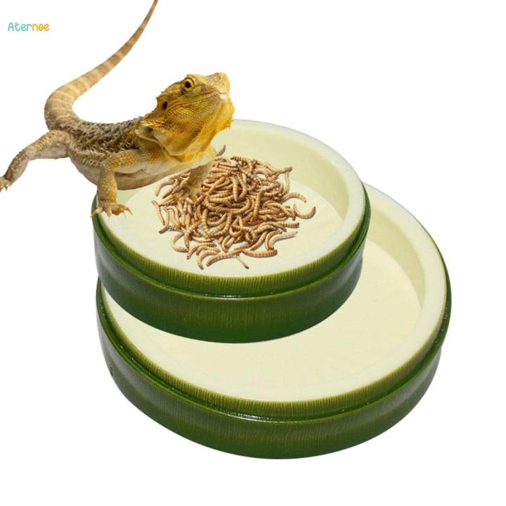 Lizards Habitat Feeding Plate Smooth Surface Reptile Water Dish Water ...