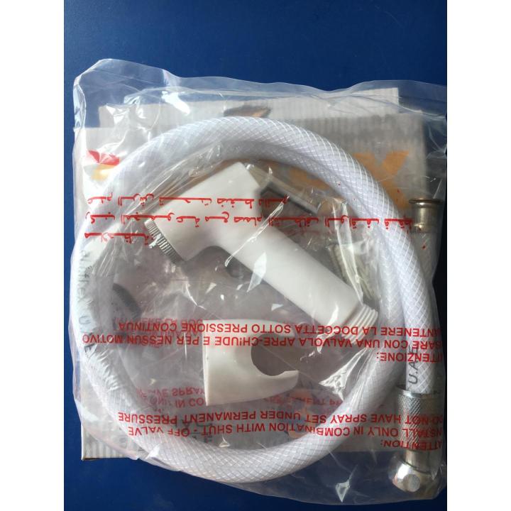 Allflex Raya Push Shower for Bathroom | Daraz.com.bd