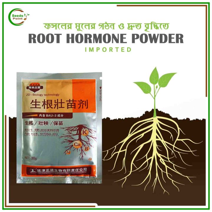 Root Hormone Powder (Imported) - 30 gm | Daraz.com.bd