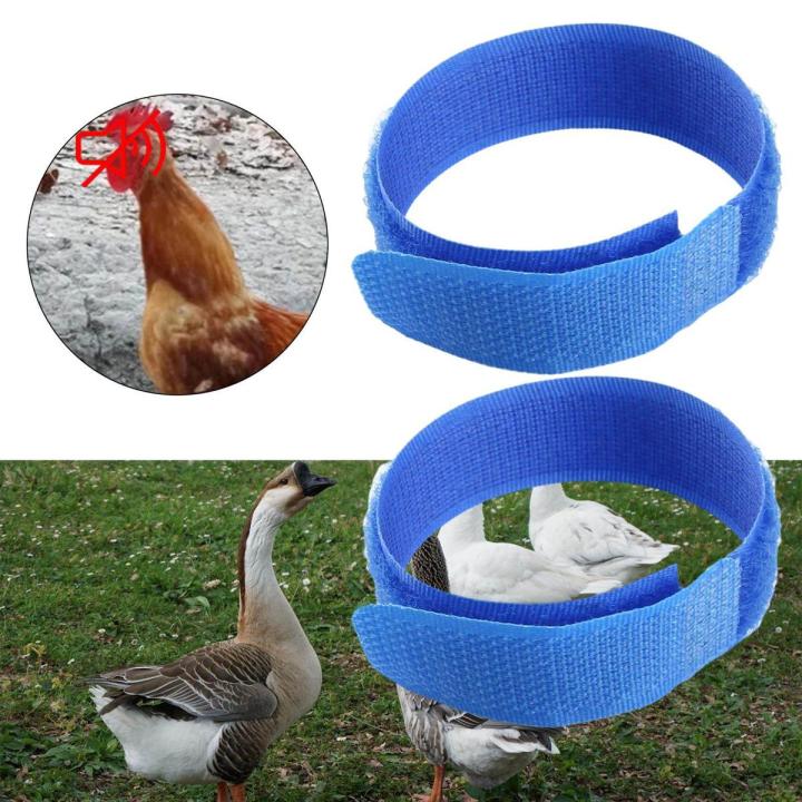 No Crow Rooster Collar Keep Pet Chicken Quiet Noise Free Neckband ...