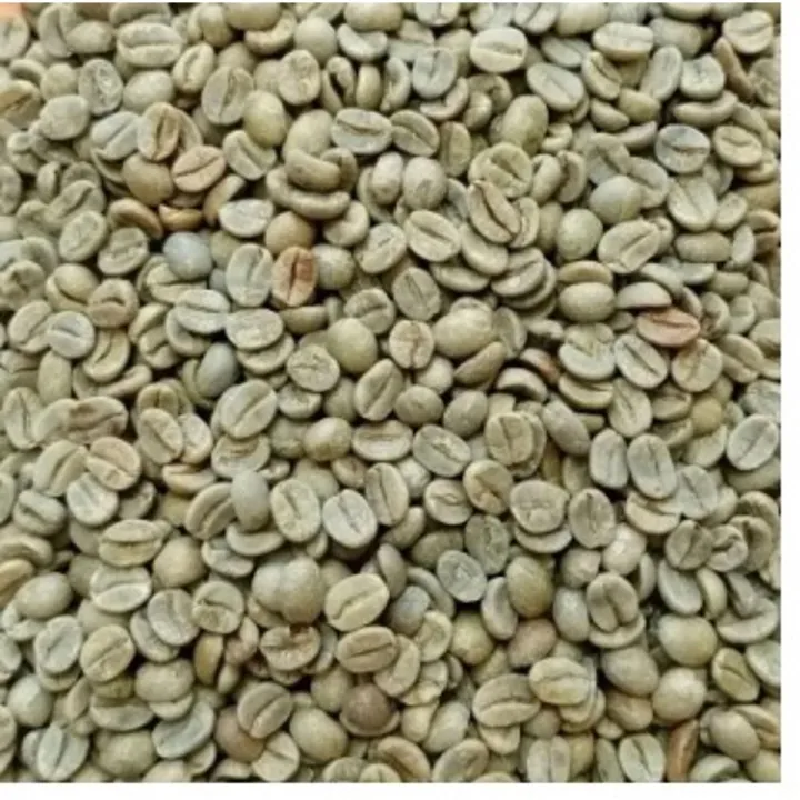 fresh Green Coffee beans _ 200g | Daraz.com.bd
