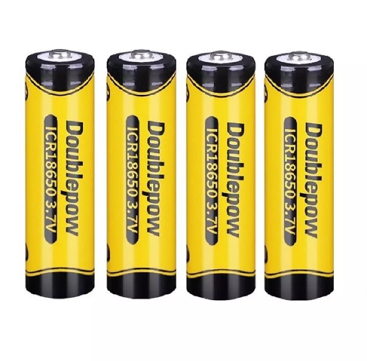 Doublepow 18650 1200mAh LSD Li-on Rechargeable Pointed Head Battery (4 ...