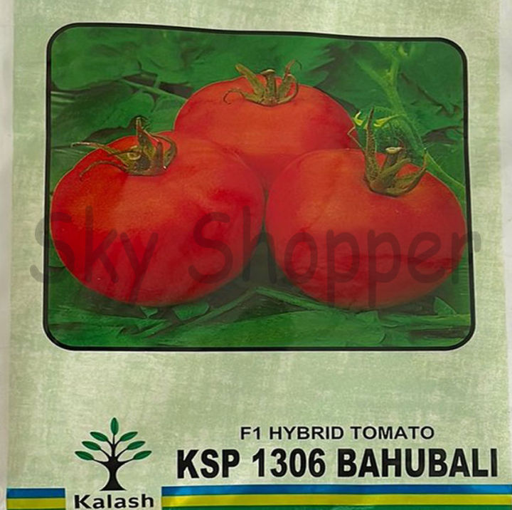 Kalash Hybrid F1 KSP 1306 Bahubali Tomato Seeds 10 gram Intack pack ...