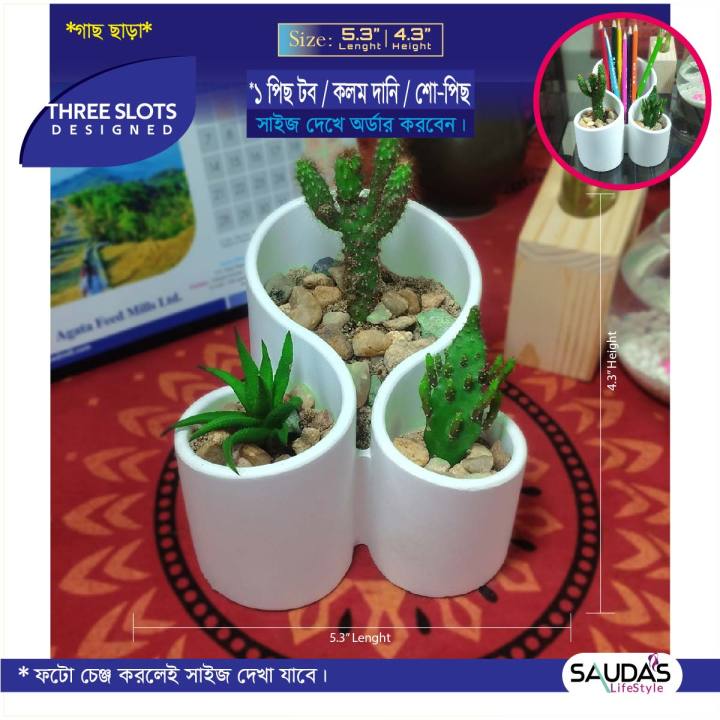 Three Slots Trinket Design Indoor, Outdoor Plant or Cactus Tub/Pot for ...
