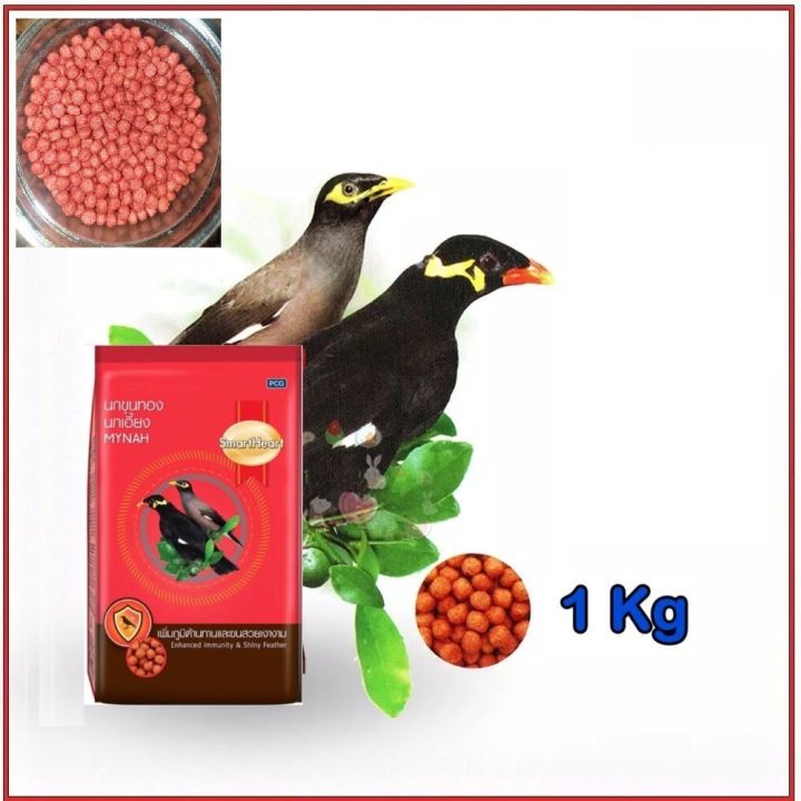 SmartHeart Original Mayna Shalik bird food with all vitamins - Enhanced ...