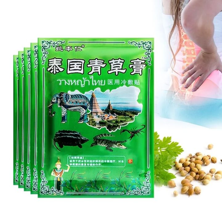 【NEW】 120Pcs Knee Pain Medical Plaster Wormwood Extract Joint Ache ...