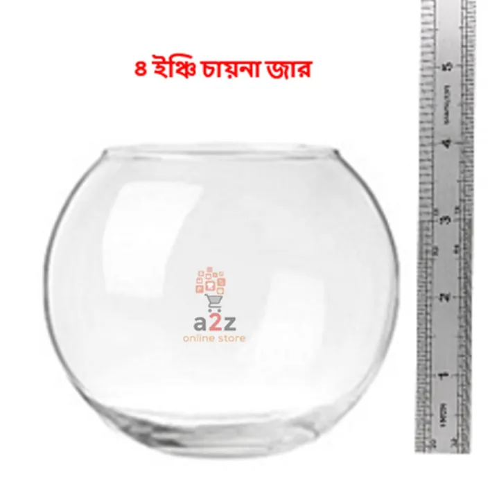 Transparent Fish Glass Bowl Betta Fish jar Fighter Fish Jar (4 inch ...