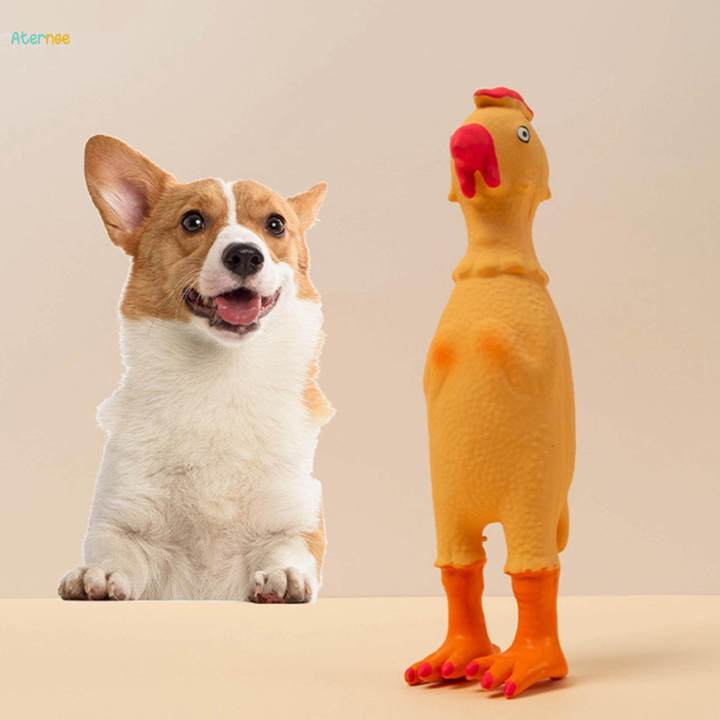 Squeaky Dog Toys Backyard Games for Kids Adults Outdoor Games Rubber ...