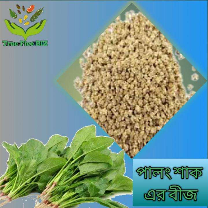 hybrid of Palong Sak 24 gm | Daraz.com.bd