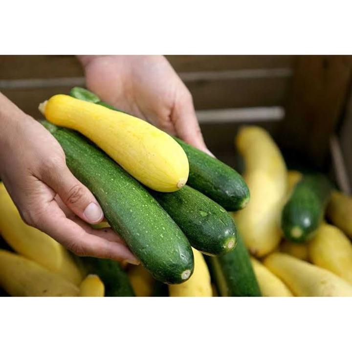 Squash Seed 10 pcs Hybrid - Mix Color | Daraz.com.bd