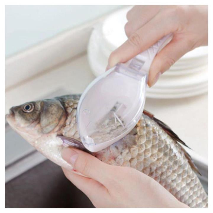 Multifunctional Fish Clean Scales Fish Killing | Daraz.com.bd