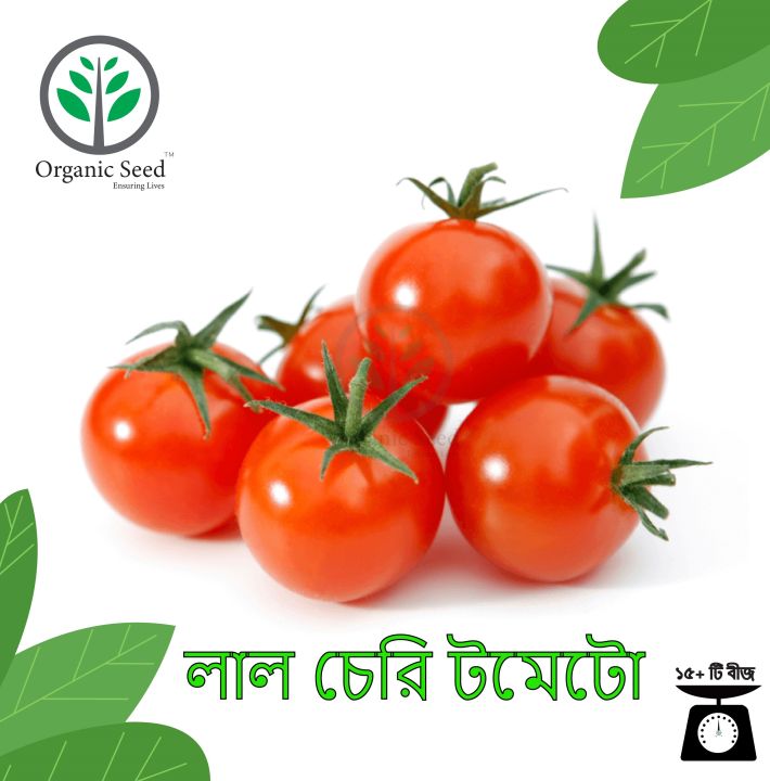 Cherry Tomato Red Color 15+ seeds লাল চেরি টমেটো বীজ | Daraz.com.bd