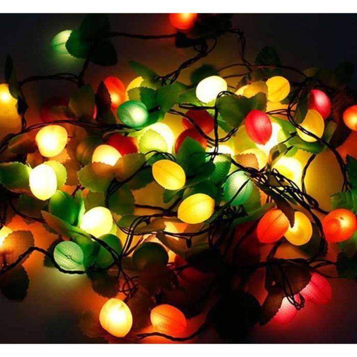 20 LED Fruit String Fairy Light | Daraz.com.bd