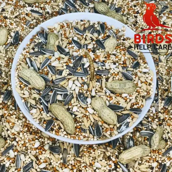 Ringneck Parrot Premium Seed Mix For Bird-1kg | Daraz.com.bd