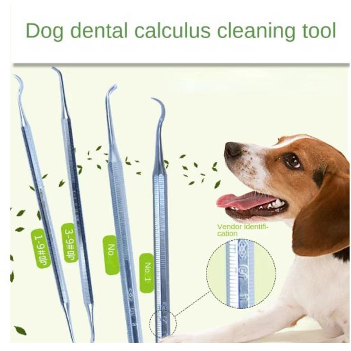 Dental Stone Tooth Cleaning Tools For Pets Cats, Dogs, Oral Cleaning ...