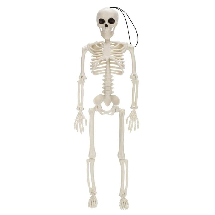 【Must-Have Style】 40cm Poseable Human Skeleton Halloween Party Decor A ...