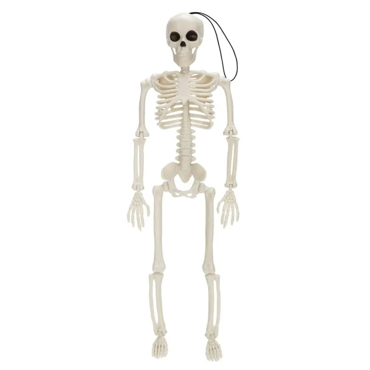 【Big-promotion】 40cm Poseable Human Skeleton Halloween Party Decor A ...