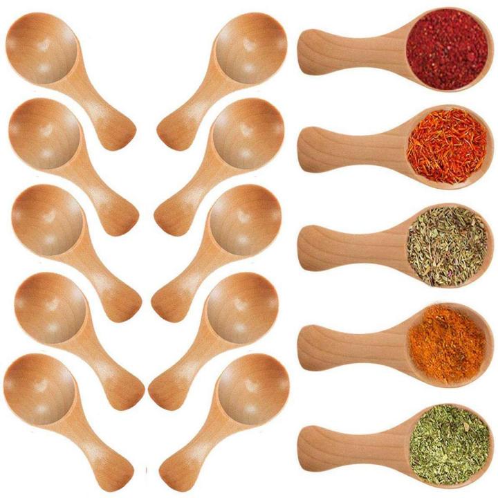 Small Wooden Spoons Mini Tasting Spoons Condiments Salt Spoons for ...
