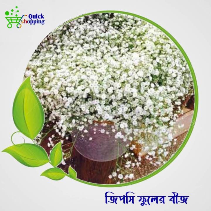 30 Pices Gypsy Flowers Seeds | Daraz.com.bd
