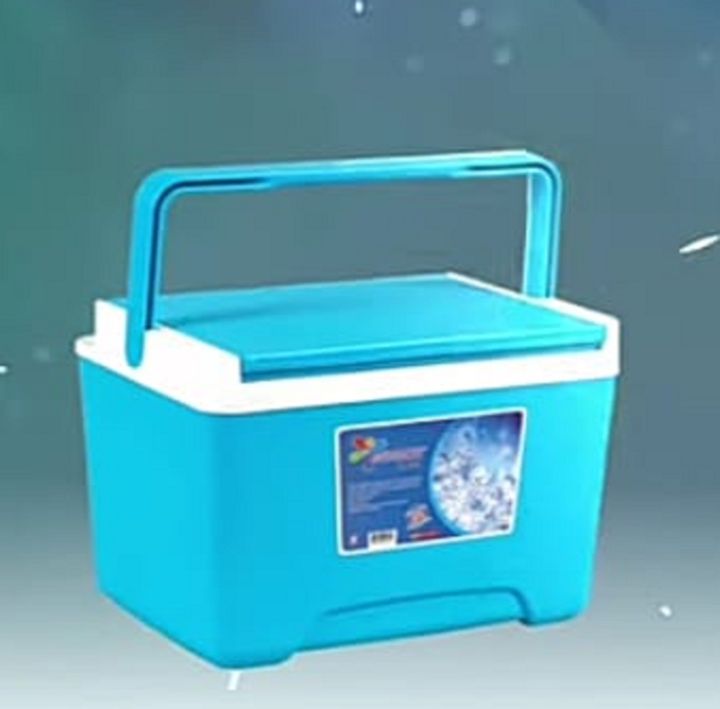 R.F.L Winner Ice Box 8L | Daraz.com.bd