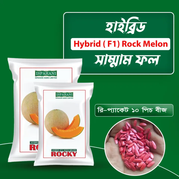 Hybrid (F1) rockmelon seed 10 pice + gift | Daraz.com.bd