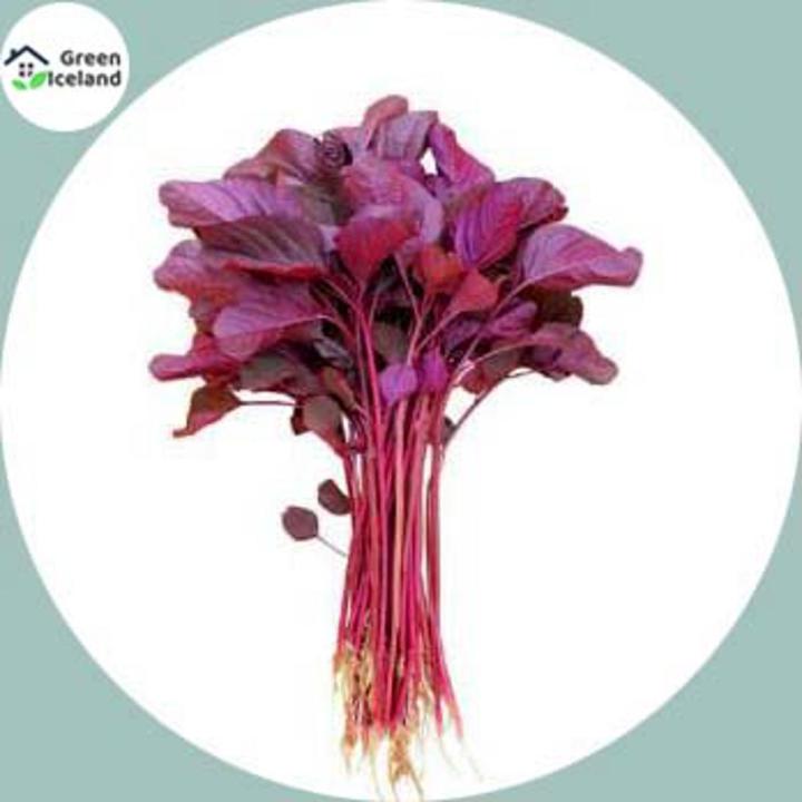 All seasoned red herbs (red herd seeds) - 1000 pistas seeds | Daraz.com.bd