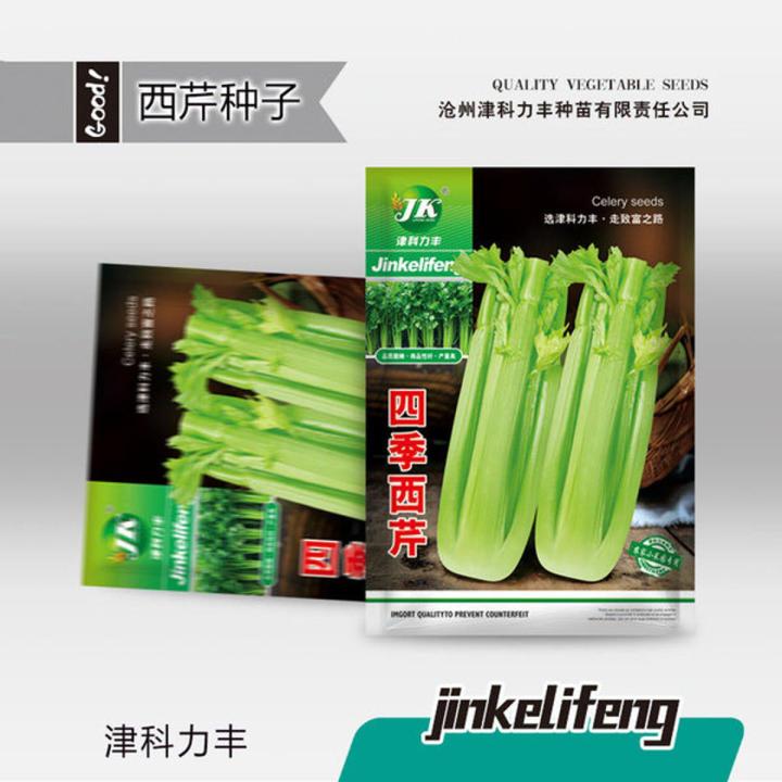 CELERY SEEDS, CHINA INTAKE PACKET - 5 GRAMS | Daraz.com.bd